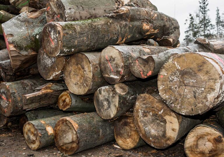 Applications - Redback Horizontal Grinders